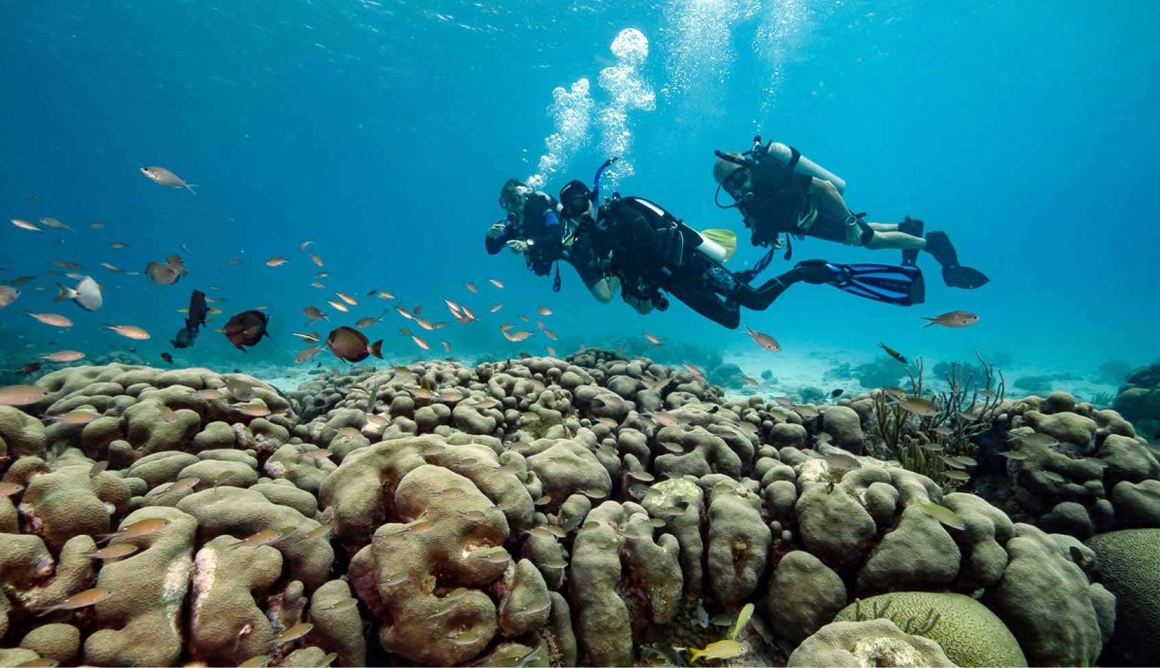 Blue Diamond. TAUCHE DEINEN TRAUM!